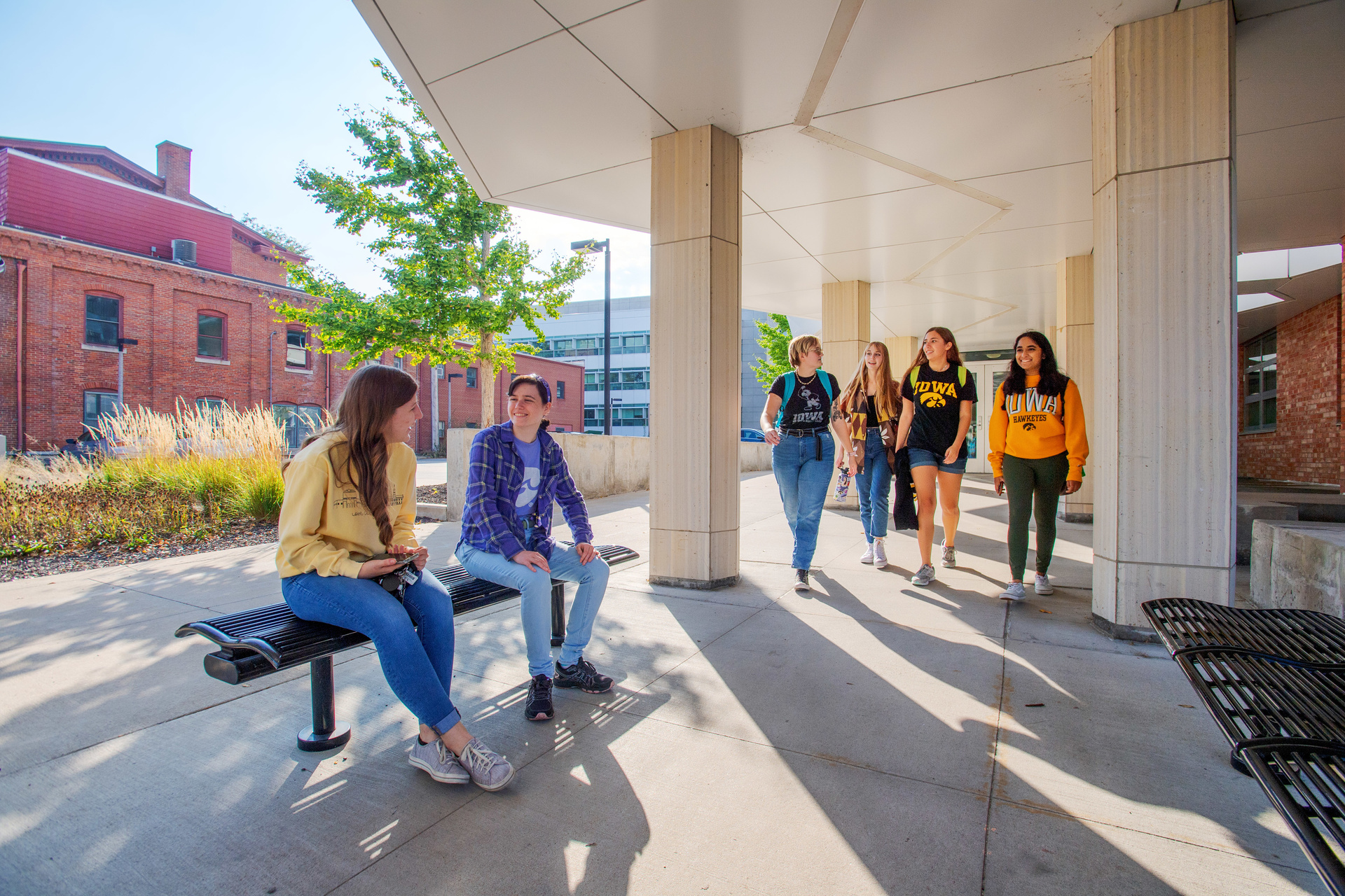 Daum Hall | Housing - Division of Student Life | The University of Iowa